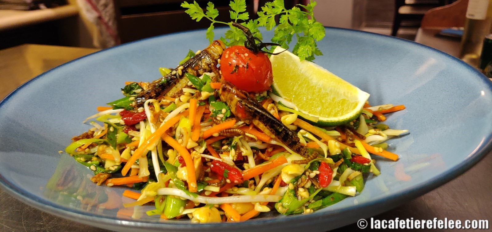 Salade Thaï Aux Insectes